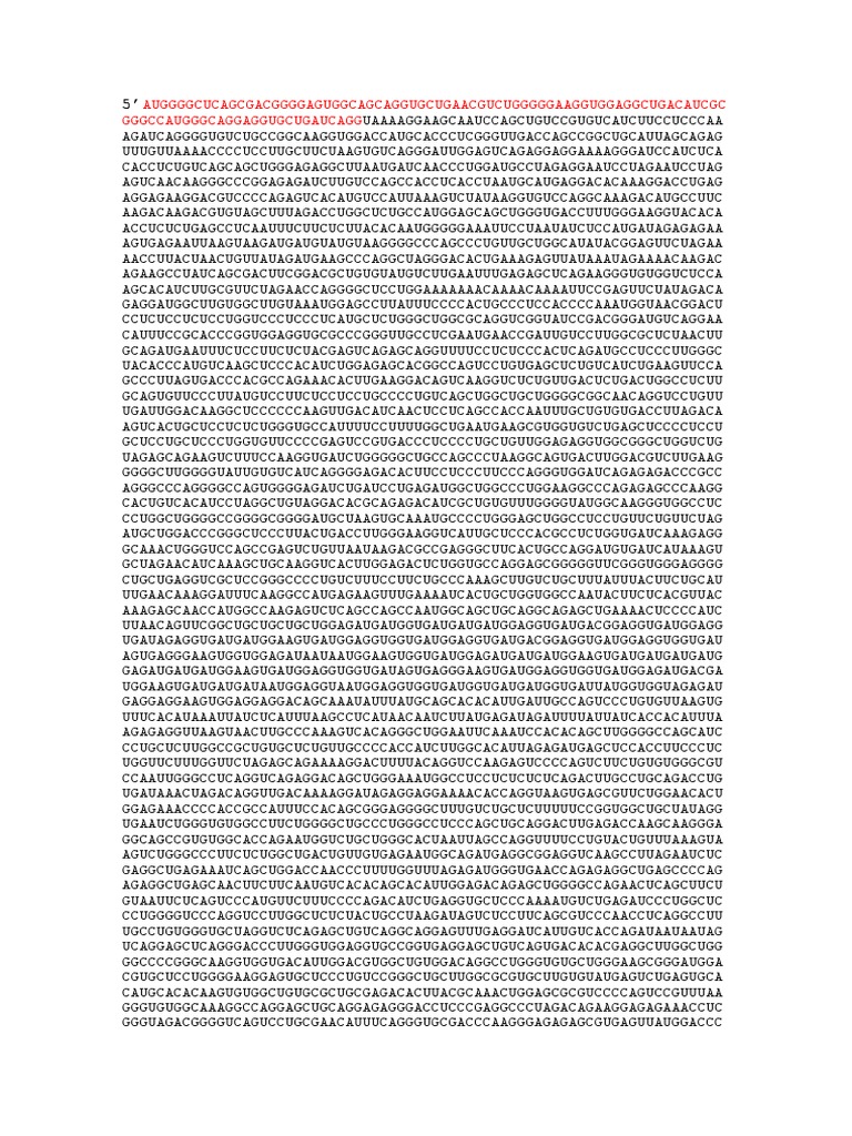 RNA Sequence and Exon Structure Analysis | PDF