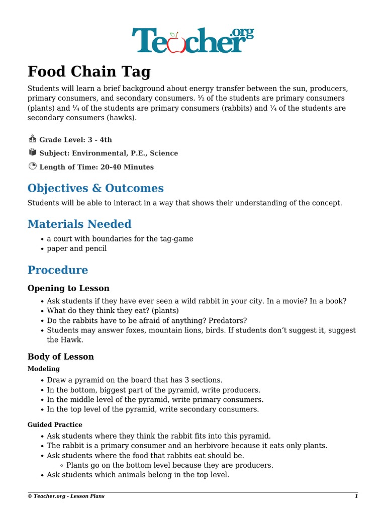 Food Chain Tag: Objectives & Outcomes Materials Needed | PDF ...