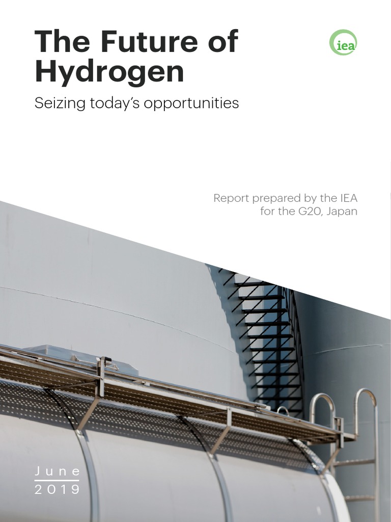 The Future of Hydrogen PDF | PDF | Renewable Energy | International ...