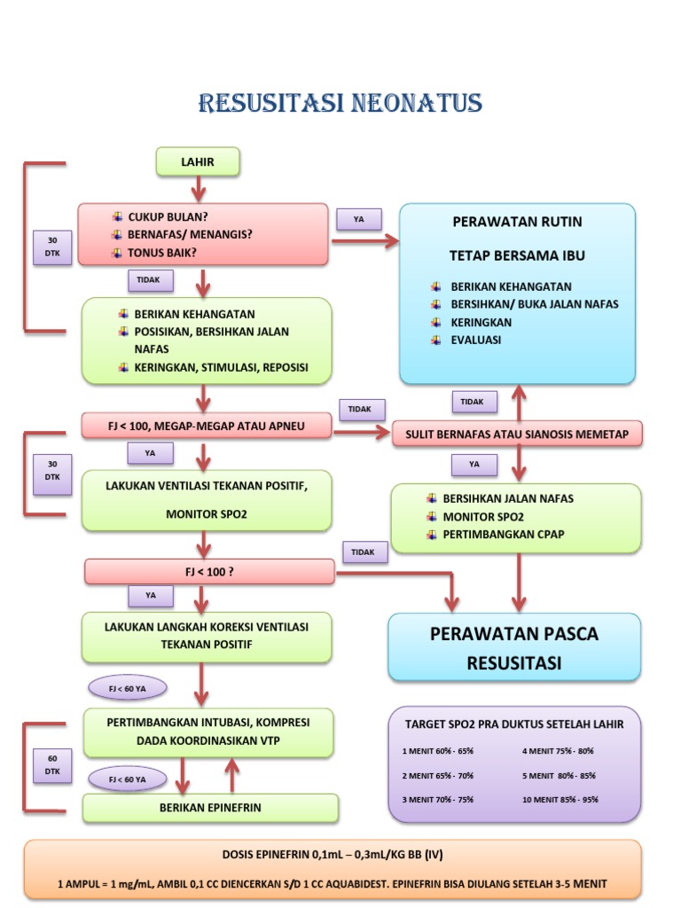 Resusitasi Neonatus | PDF