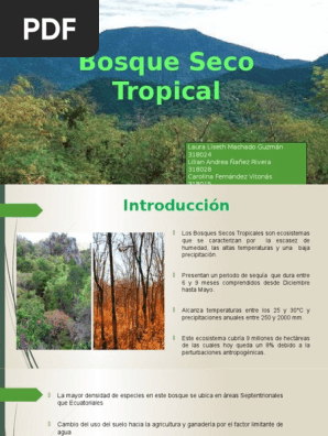 Mapa Del Bioma Del Bosque Seco Tropical