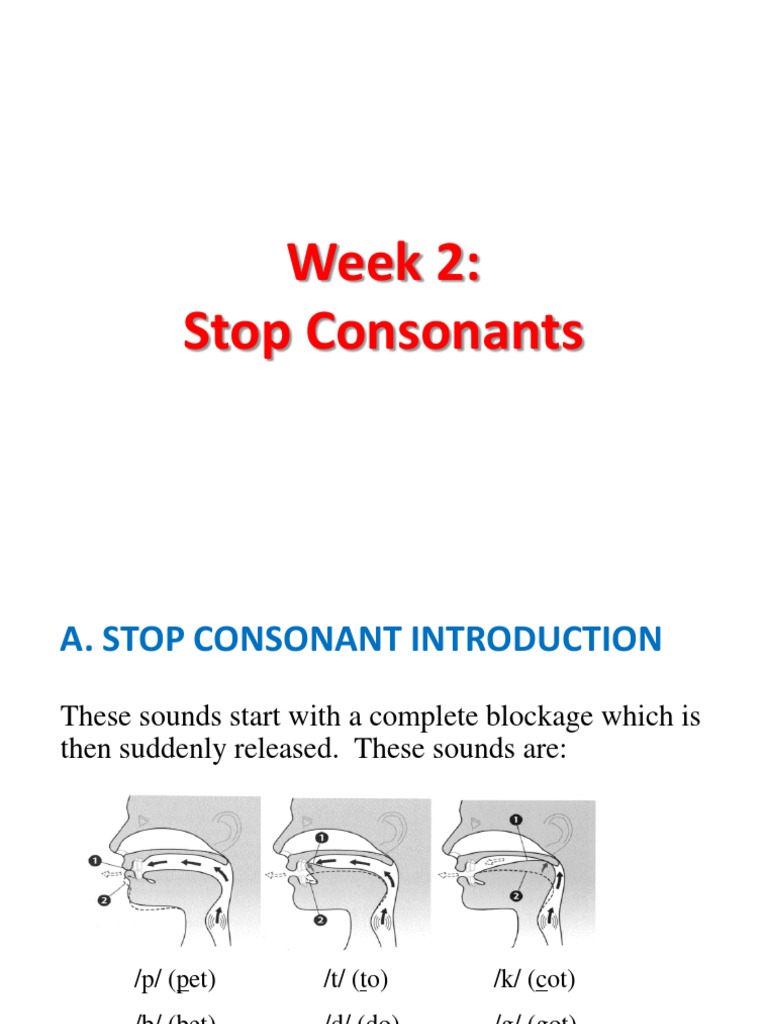 Stop Consonants | PDF | Consonant | Linguistic Typology