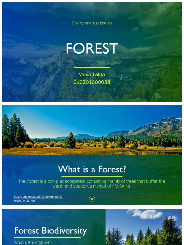 Forest | PDF | Forests | Land Management