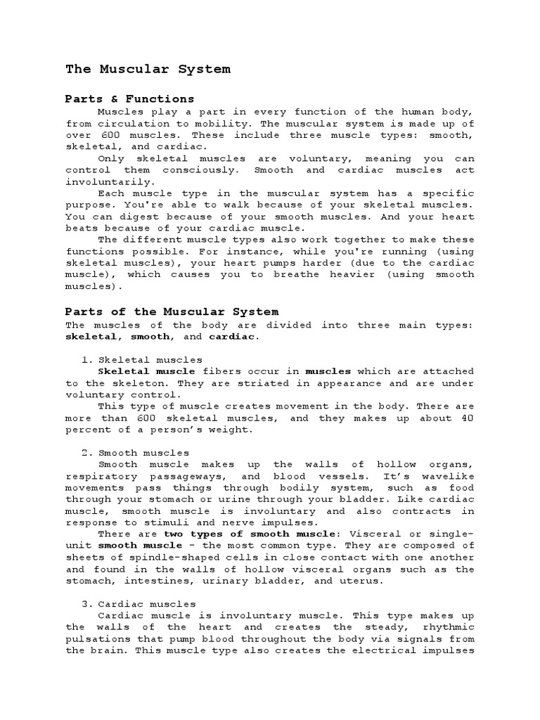 The Muscular System: Parts & Functions | PDF | Muscle | Cardiac Muscle