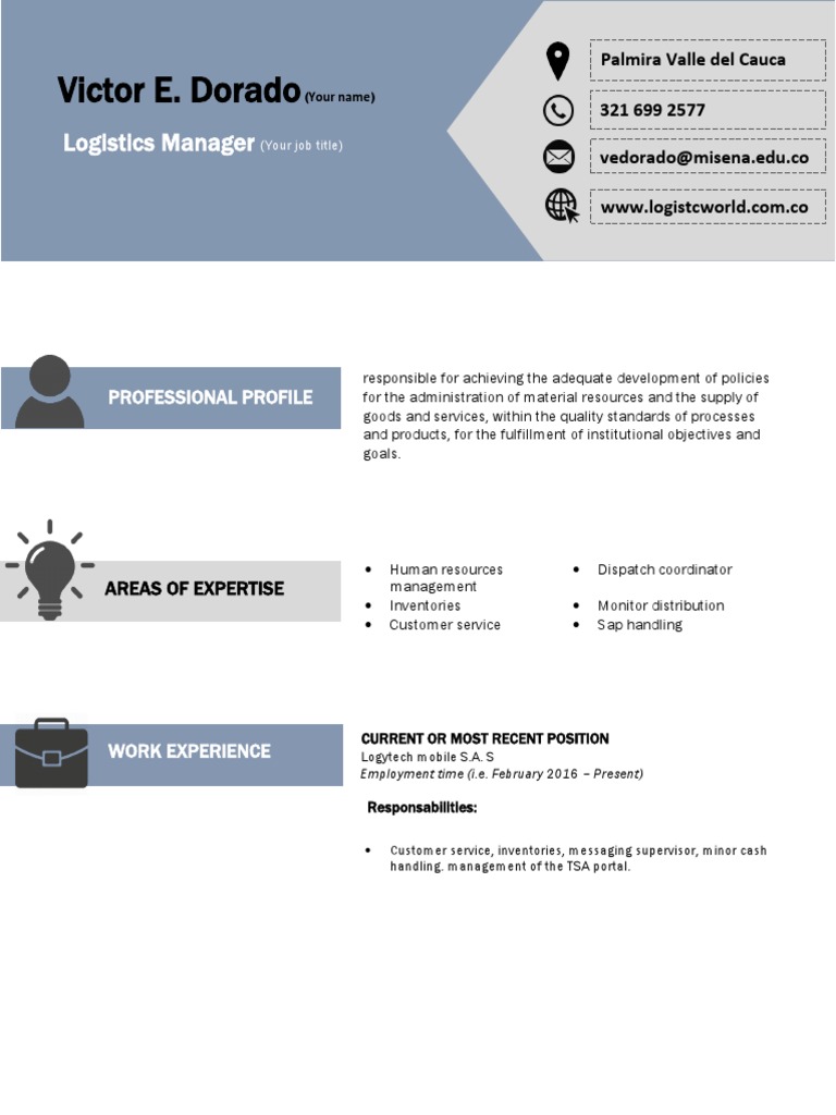 Victor E. Dorado: Logistics Manager | PDF | Logistics | Inventory