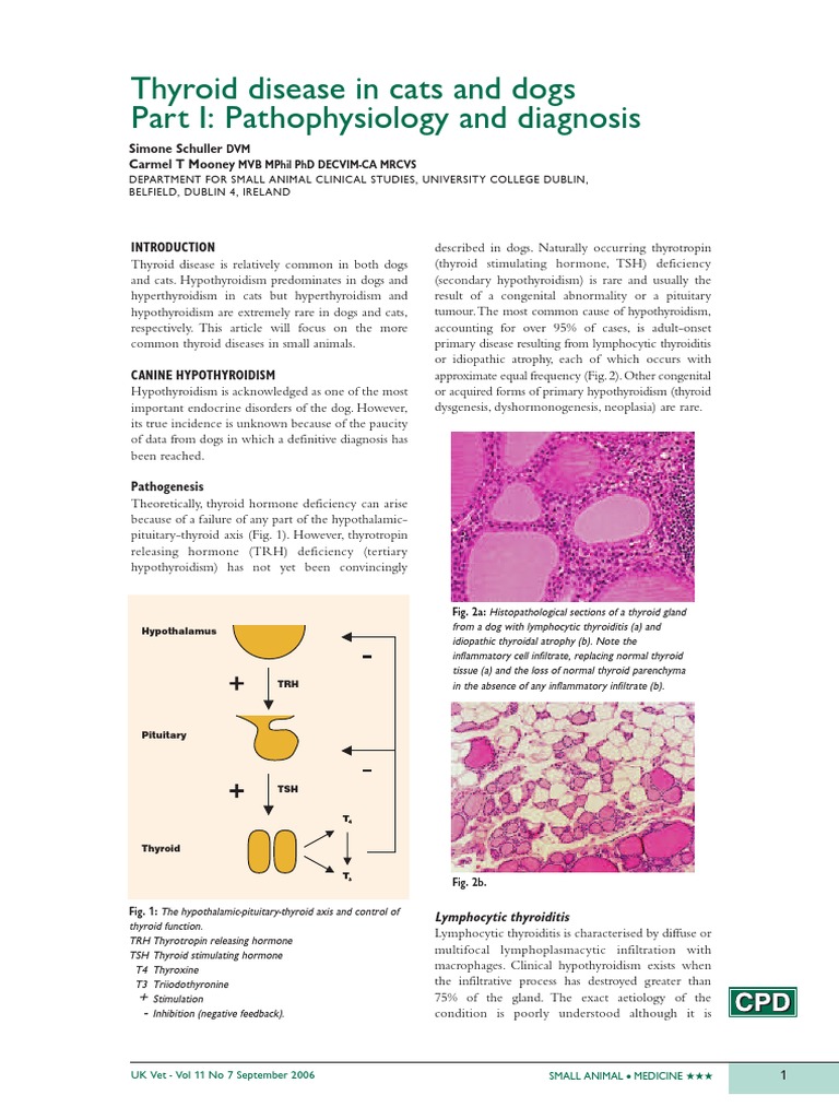Thyroid Disease in Cats and Dogs Part I: Pathophysiology and Diagnosis ...