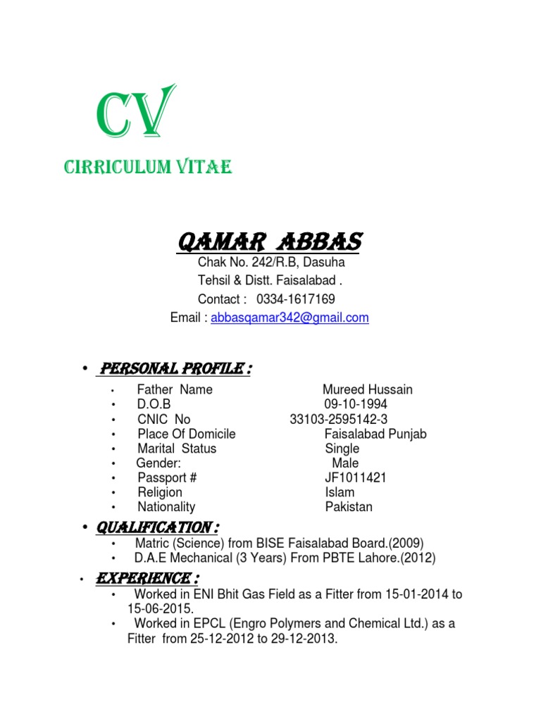 Qamar Abbas: Cirriculum Vitae | PDF