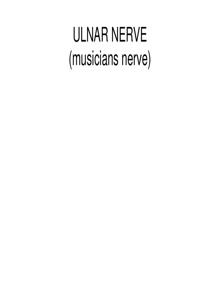 Ulnar Nerve (Musicians Nerve) | PDF | Science & Mathematics
