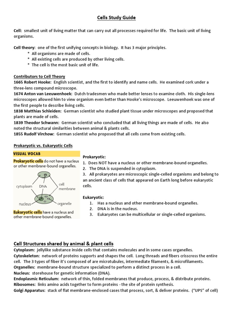 Cell Cheat Sheet | PDF | Mitosis | Cell (Biology)
