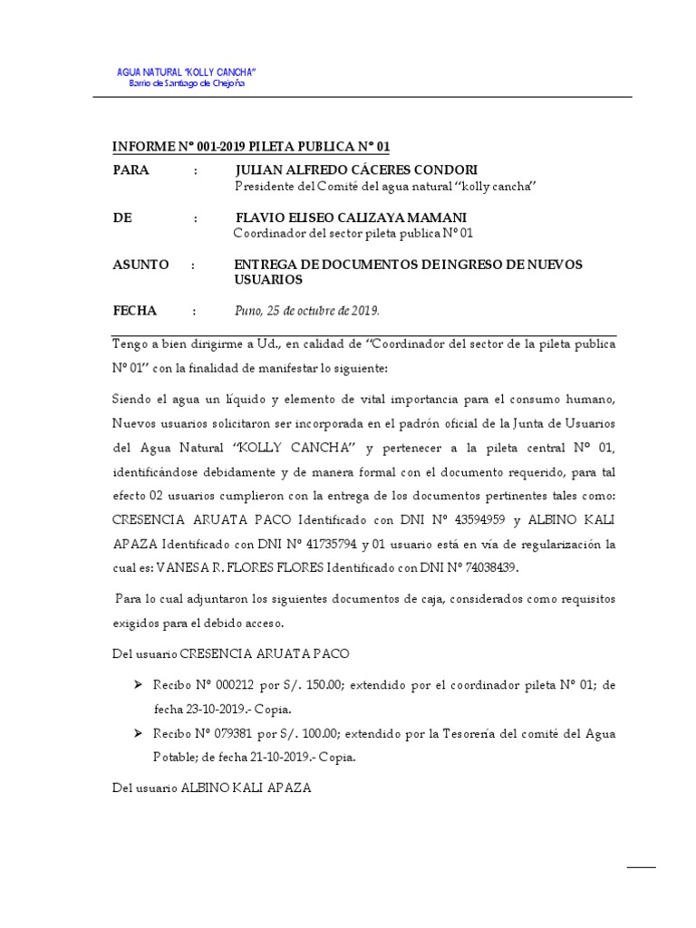 Informe Entrega de Documentos | PDF