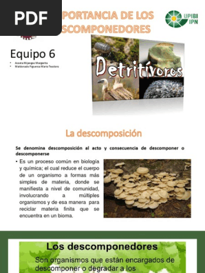 Biología Del Descomponedor