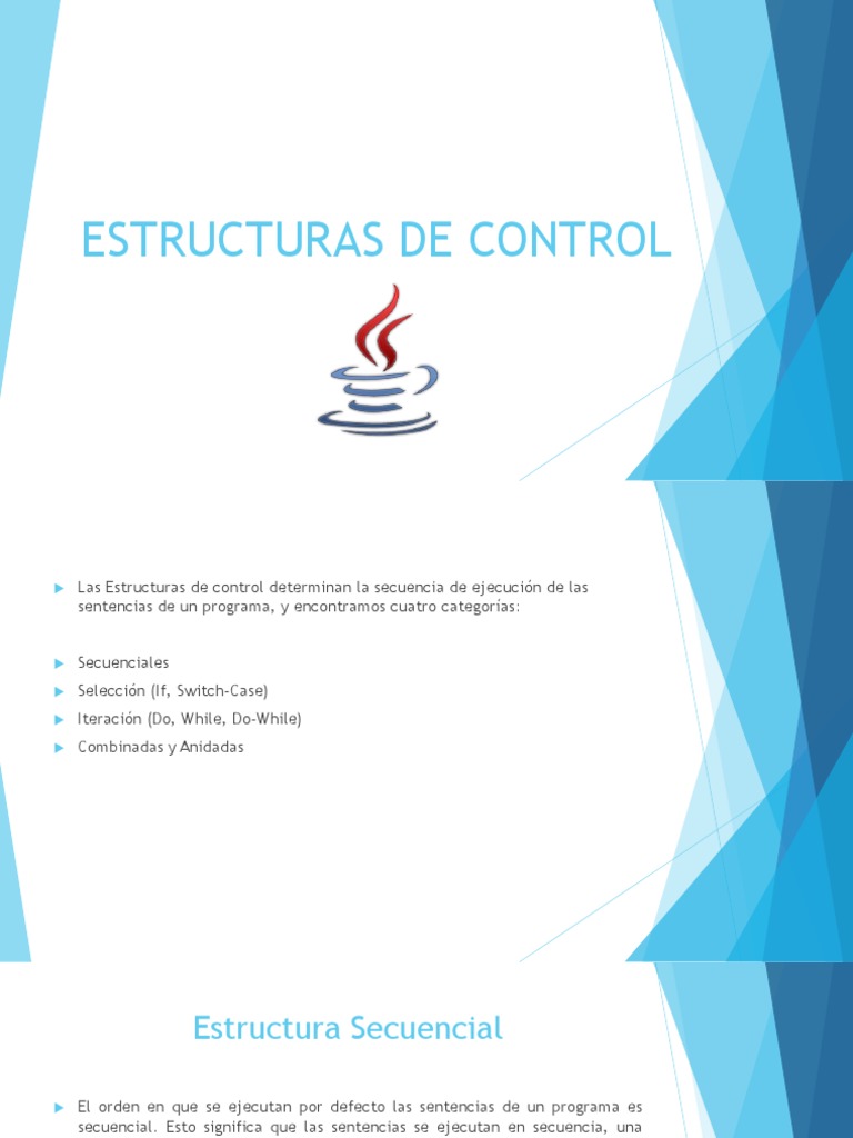 Estructuras de Control | PDF | Flujo de control | Programa de computadora