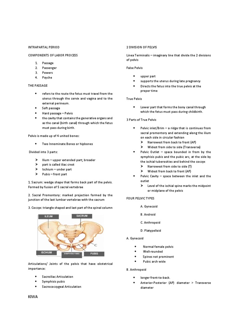 Understanding the components of labor and fetal positioning | PDF ...
