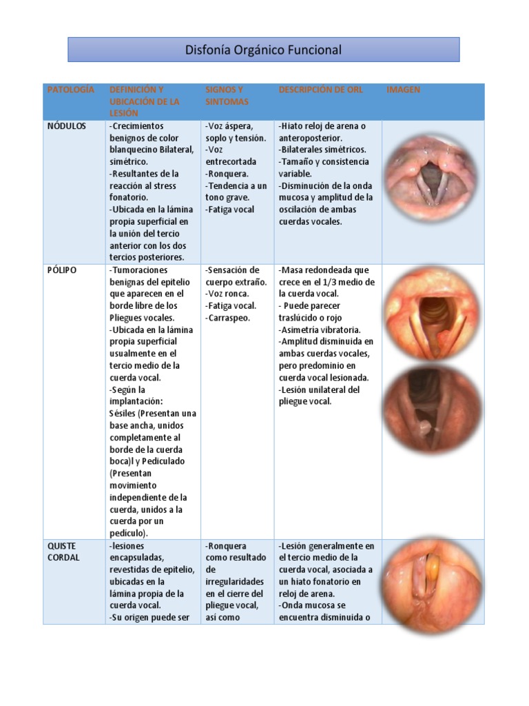 Patologias Voz | PDF | Laringe | Anatomía