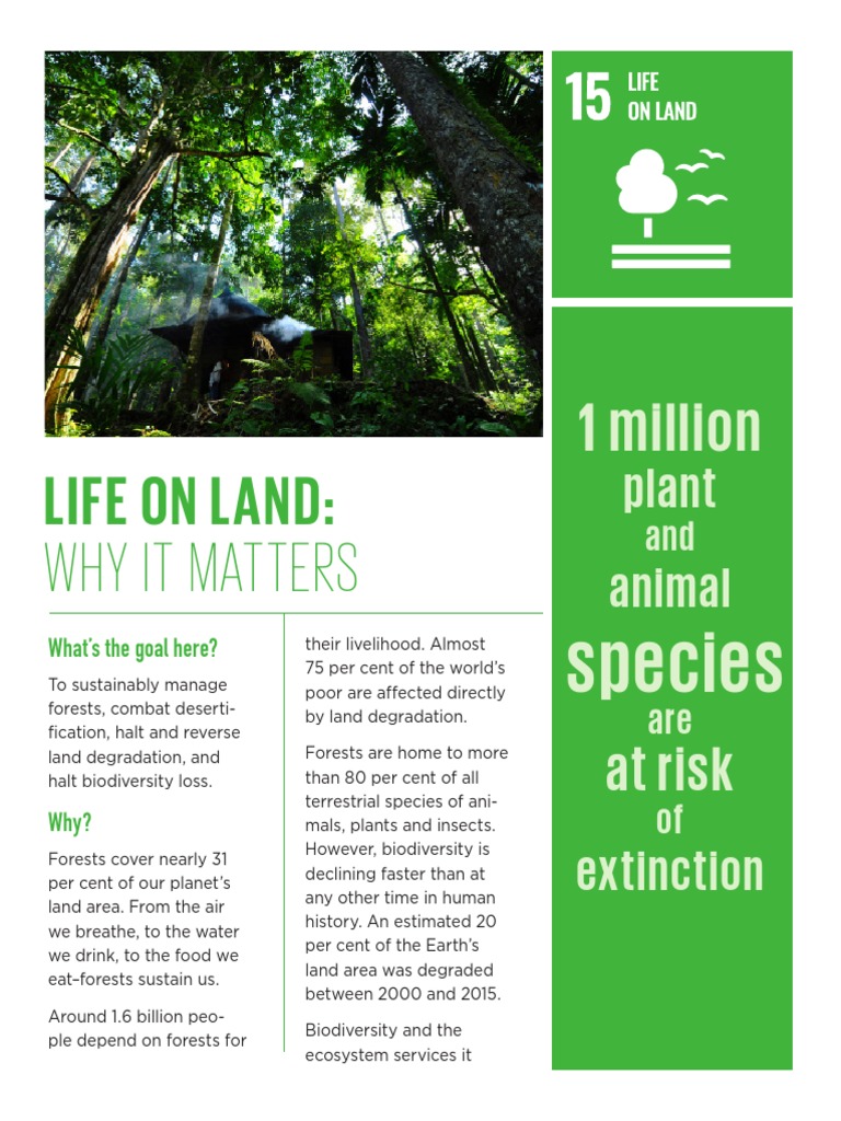 Sustainability Development Goal Life On Land | PDF | Biodiversity ...