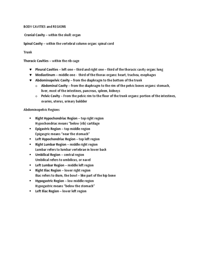 Body Cavities and Regions | PDF