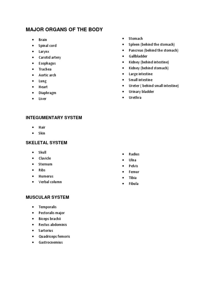 Major Organs of The Body: Integumentary System | PDF | Lymphatic System ...