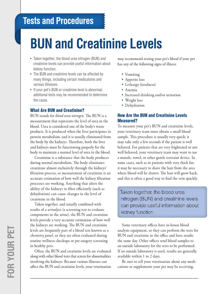 BUN and Creatinine Levels | PDF | Creatinine | Veterinary Physician