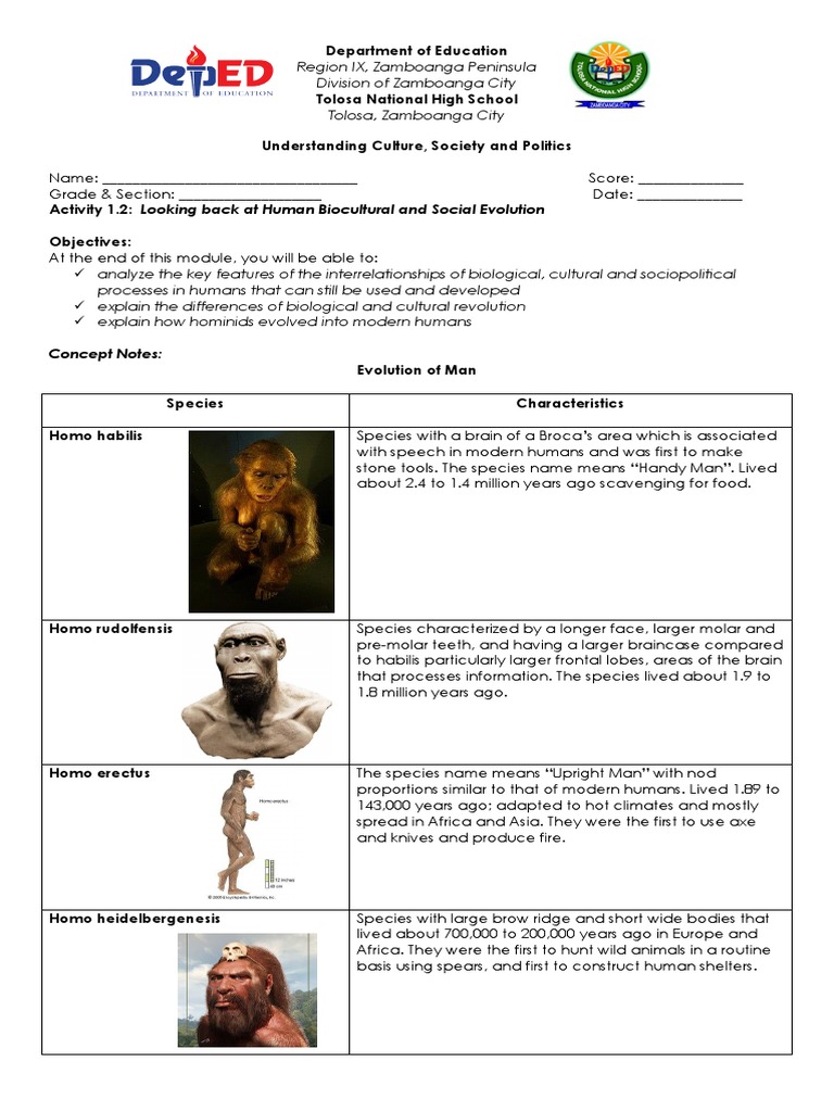 Evolution Of Humans With Names
