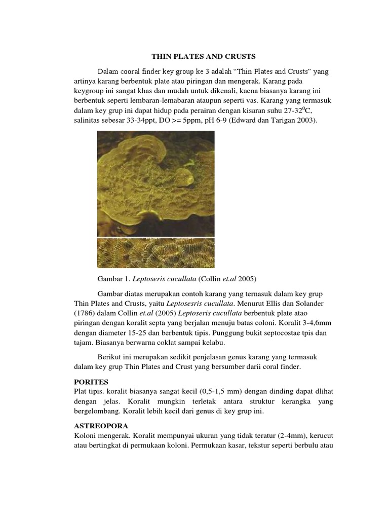 Thin Plates and Crusts | PDF