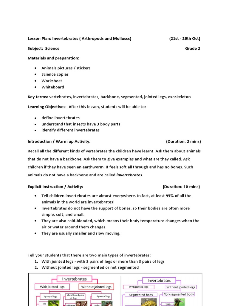Lesson Plan About Invertebrates | PDF | Invertebrate | Insects