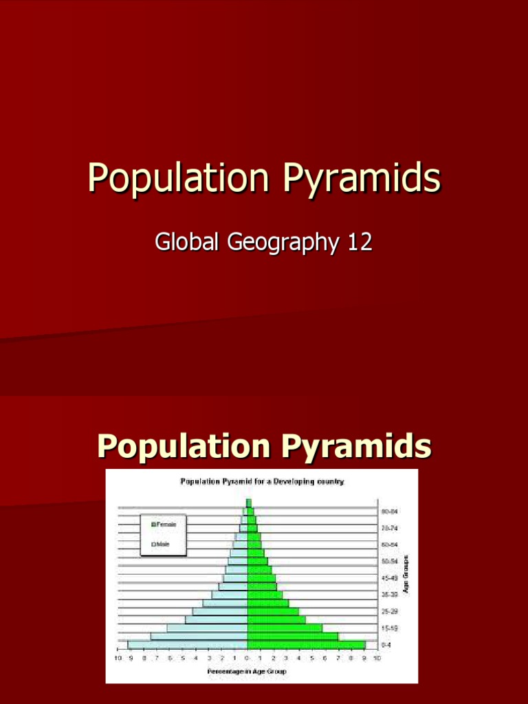 Population Pyramids (PowerPoint) | PDF | Population Growth | Demography