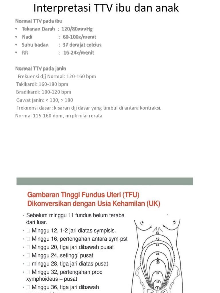 Interpretasi TTV Ibu Dan Anak | PDF