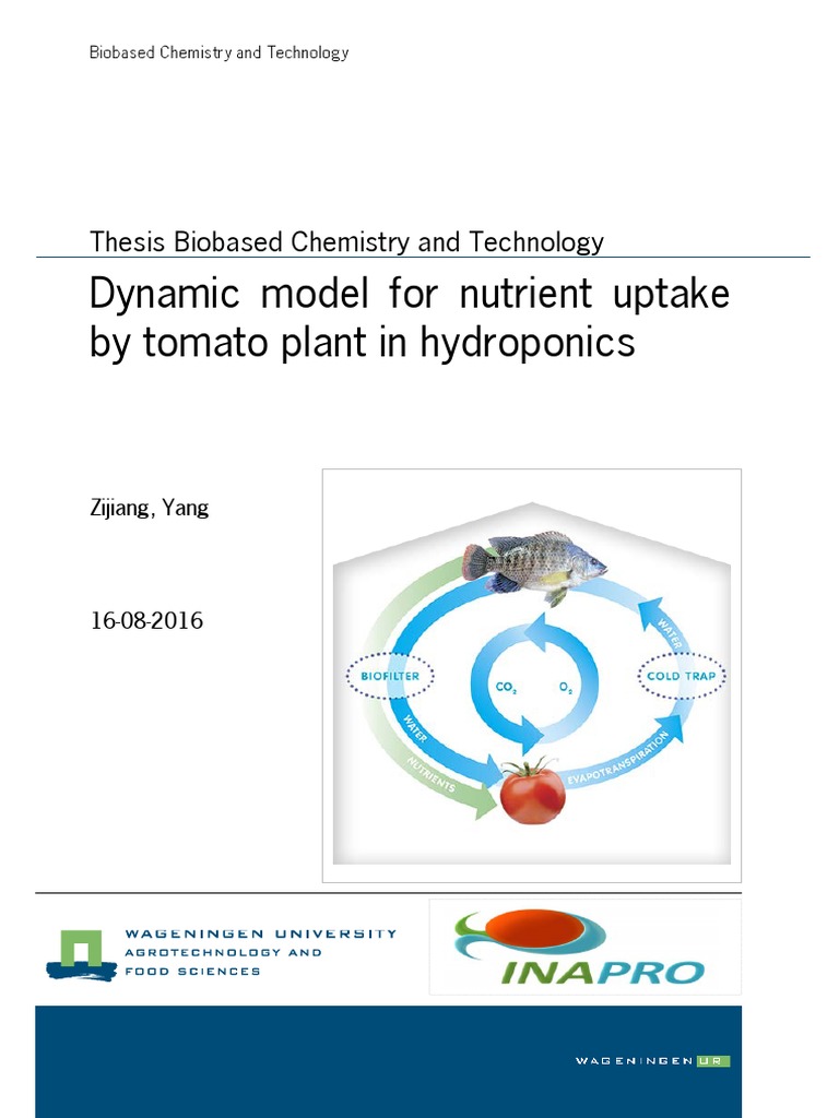 Dynamic Model For Nutrient Uptake by Tomato Plant in Hydroponics | PDF ...