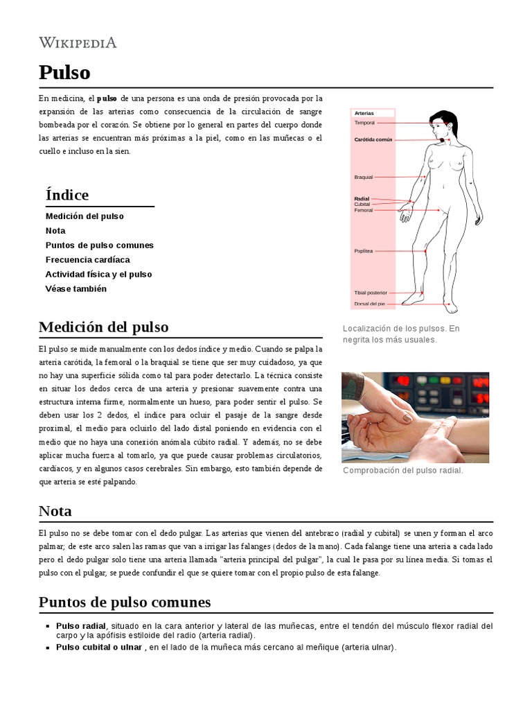 Pulso | PDF | Legumbres | Anatomía humana