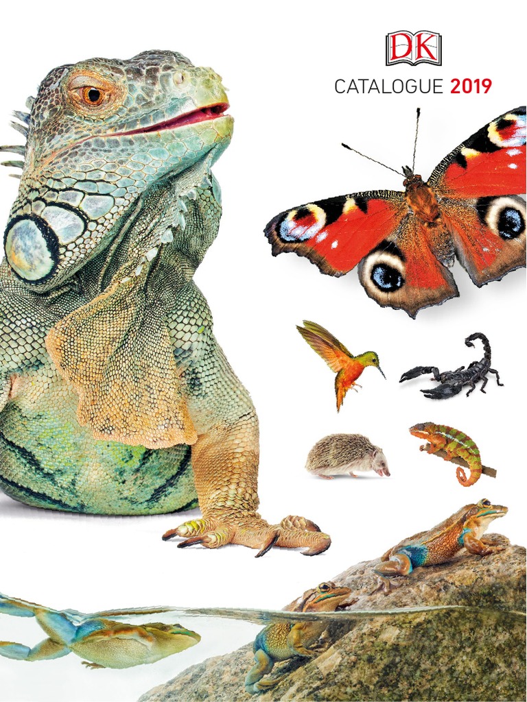 DK Catalogue 2019 | PDF | Marvel Comics | Lego