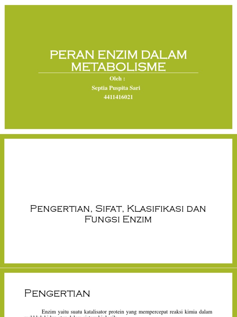 Peran Enzim Dalam Metabolisme | PDF