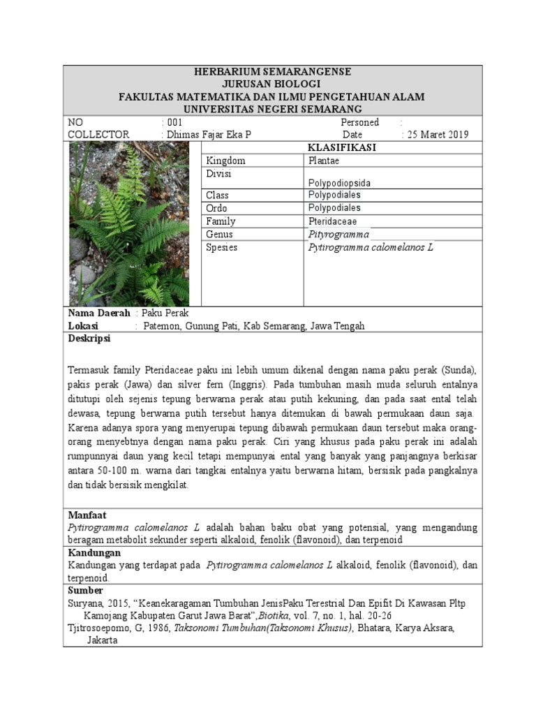 Herbarium Kering Mortum Dhimas | PDF | Griya & Taman | Kesehatan Holistik