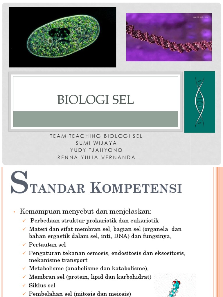 Biologi Sel | PDF | Microscopy | Cell Nucleus