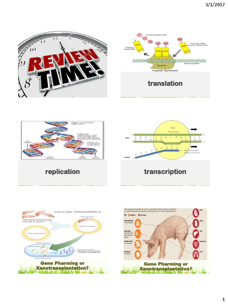 Translation: Gene Pharming or Xenotransplantation? Gene Pharming or ...