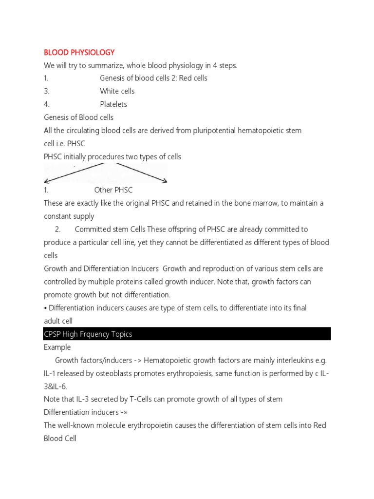 Blood Physiology | PDF | Granulocyte | Hematopoietic Stem Cell