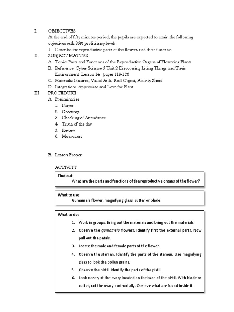 Lesson Plan Grade 5 | PDF | Flowers | Pollen