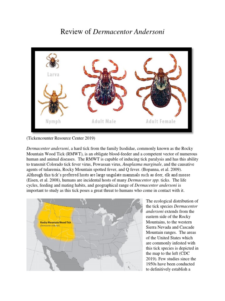 Rocky Mountain Wood Tick Overview | PDF | Sexual Intercourse | Wellness