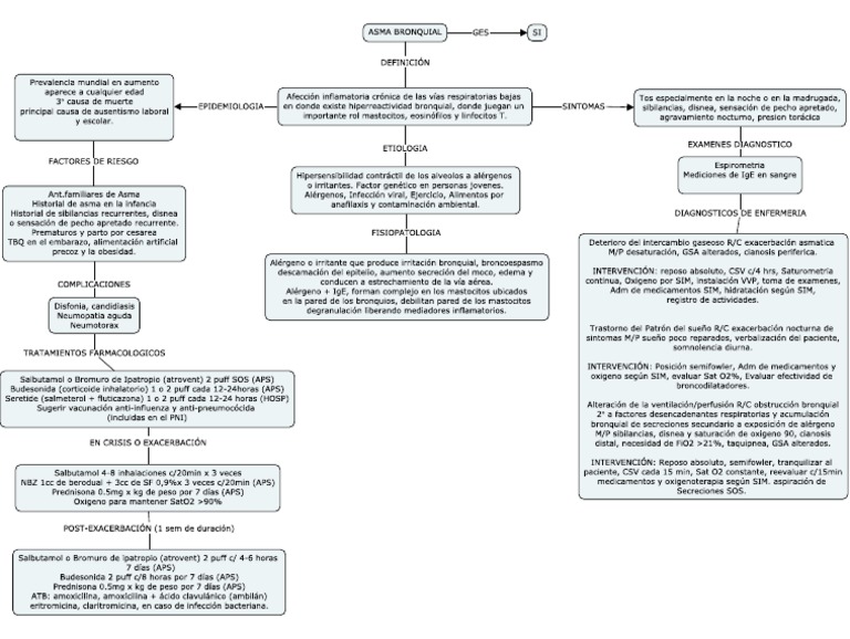 Mapa Conceptual Asma Bronquial PDF | PDF