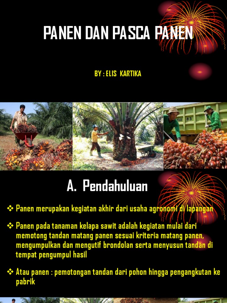 Panen Dan Pasca Panen Kelapa Sawit | PDF