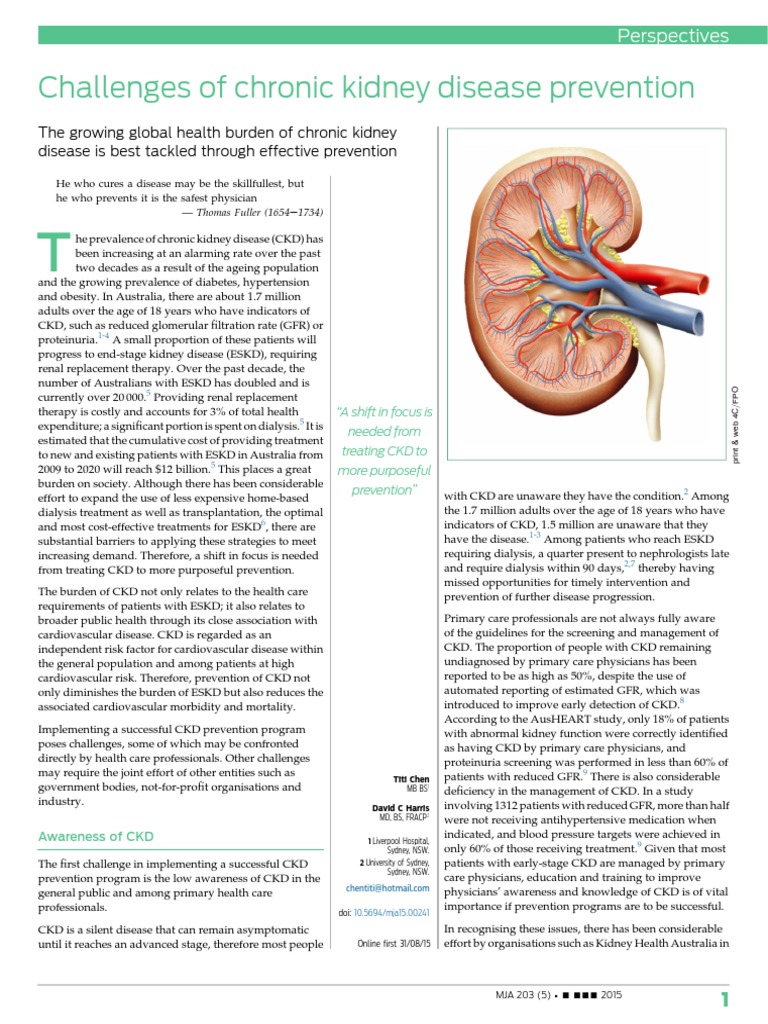 Preventing the Growing Burden of Chronic Kidney Disease: Challenges and ...