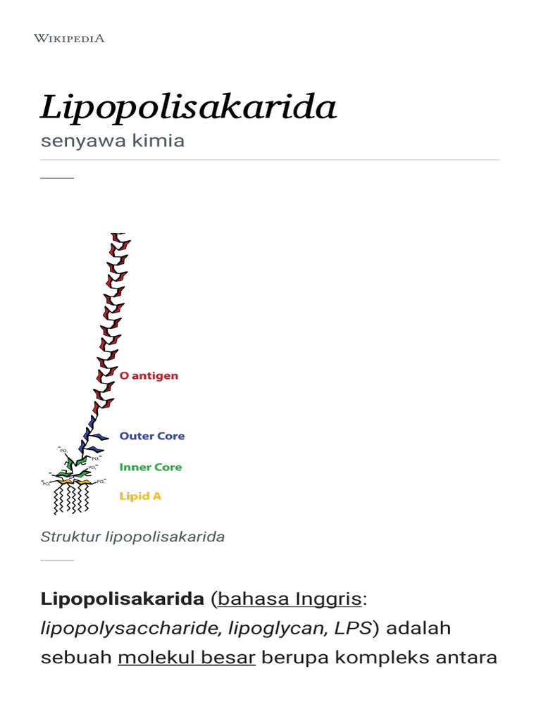 Lip Opolis Akari Da | PDF | Sains & Matematika