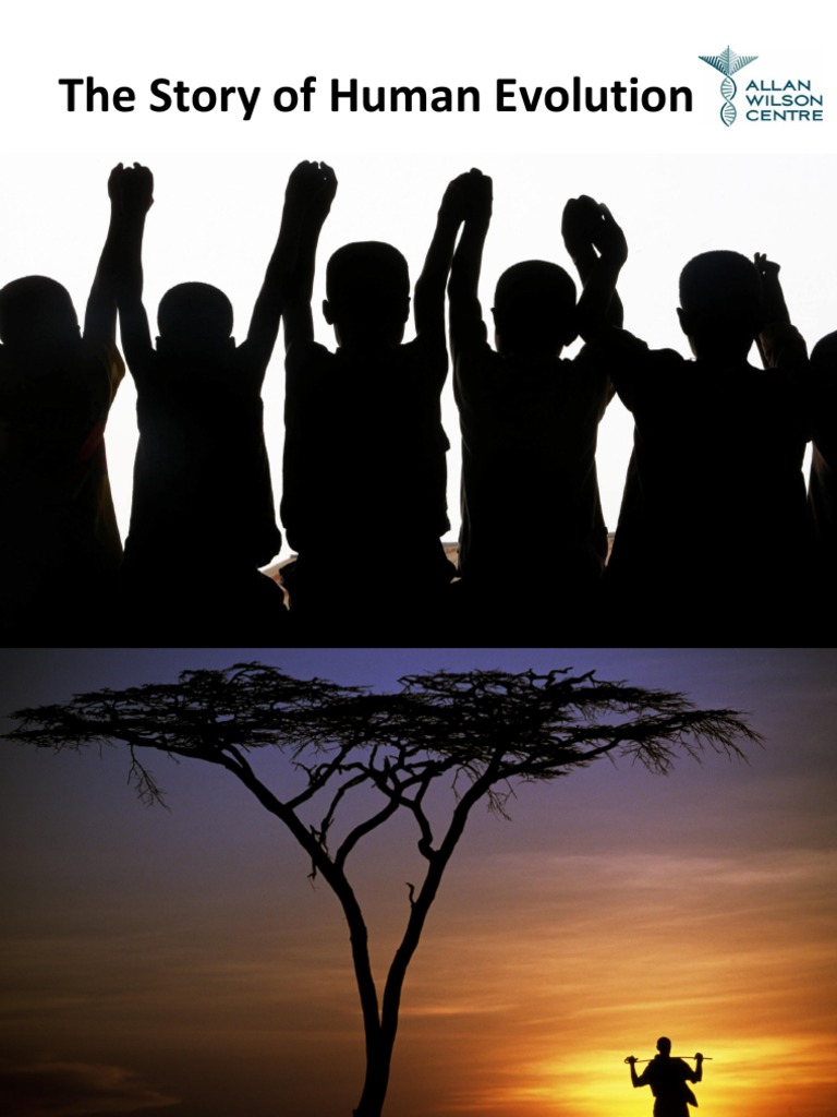 Human Evolution Part 1 | PDF | Human Evolution | Ape
