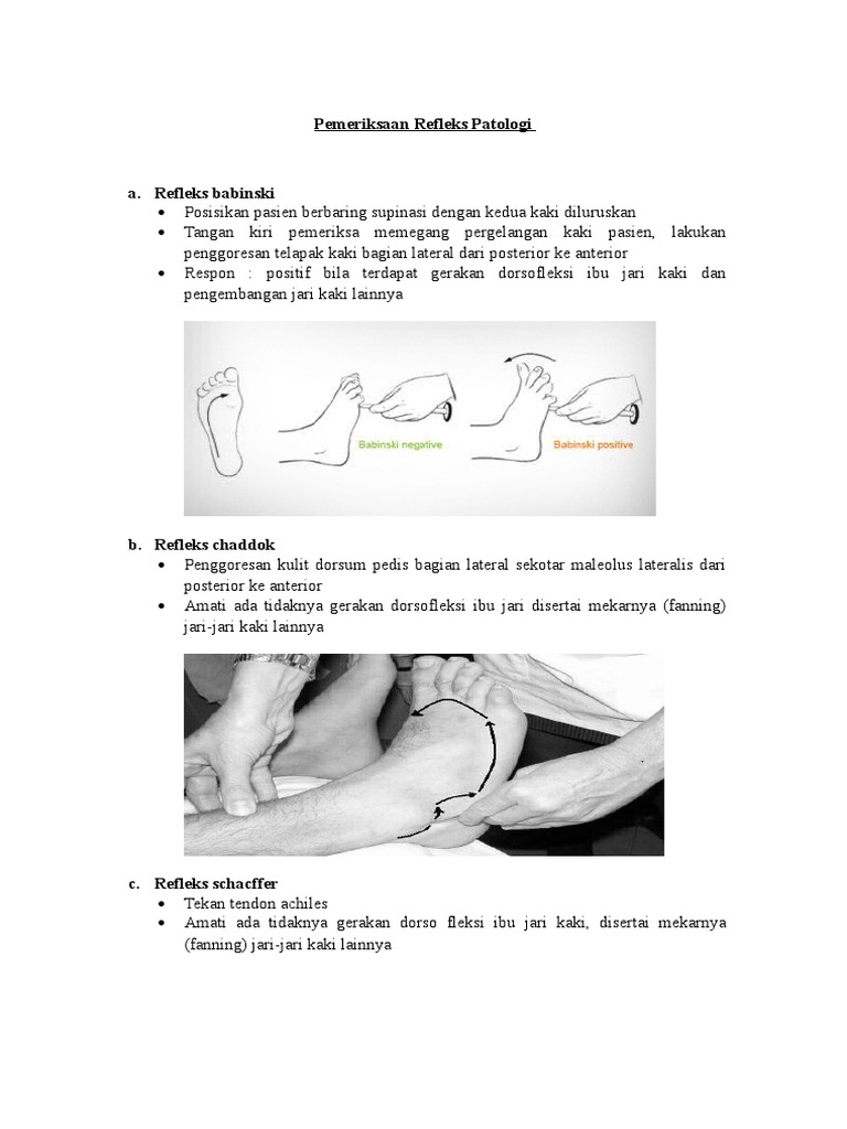 AJAR 3. Pemeriksaan Refleks Patologi | PDF