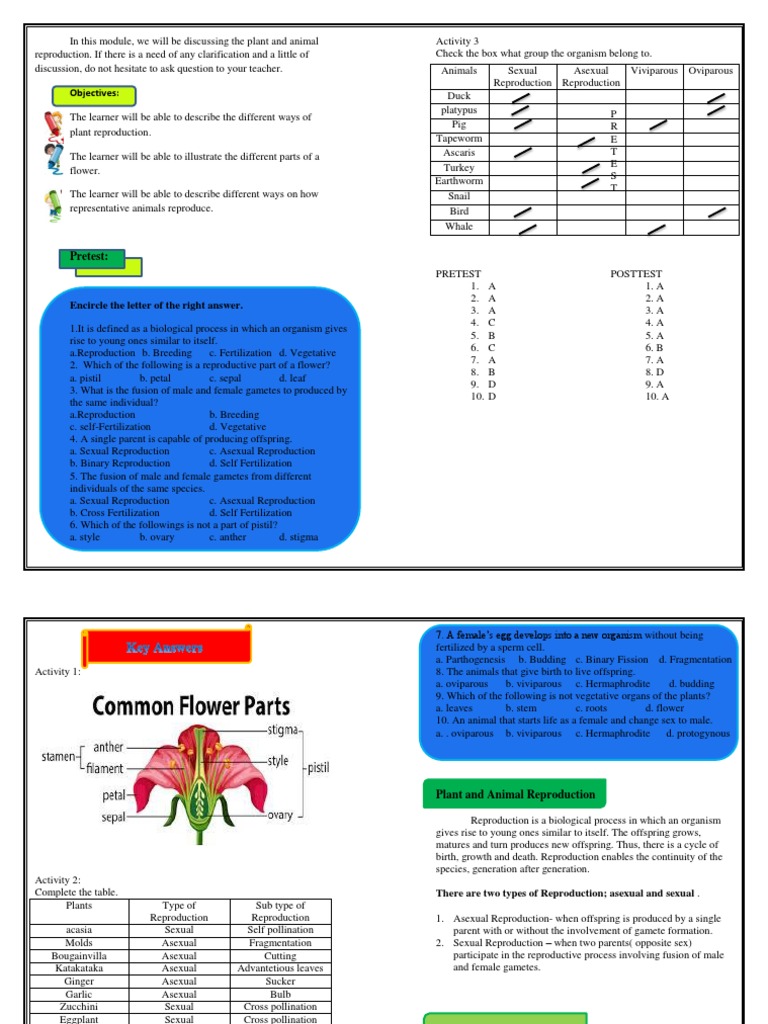 Module On Plant and Animal Reproduction2 | Download Free PDF ...