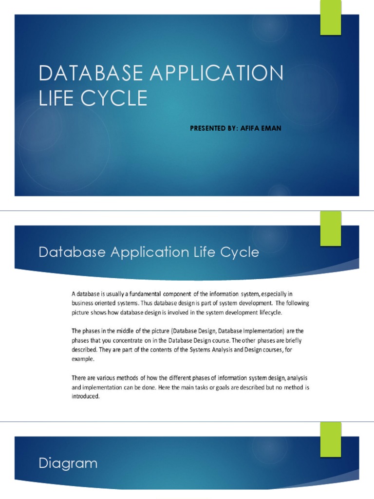 Database Application Life Cycle | PDF