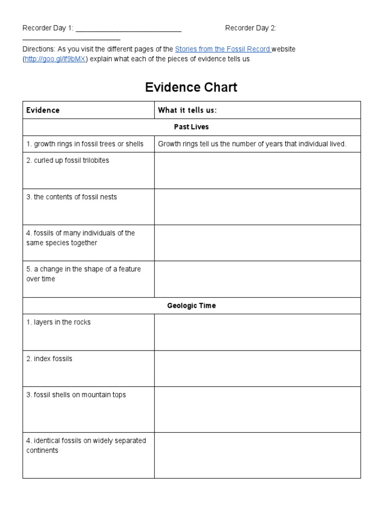 Fossil Evidence and Extinction Insights | PDF | Fossil | Earth Sciences