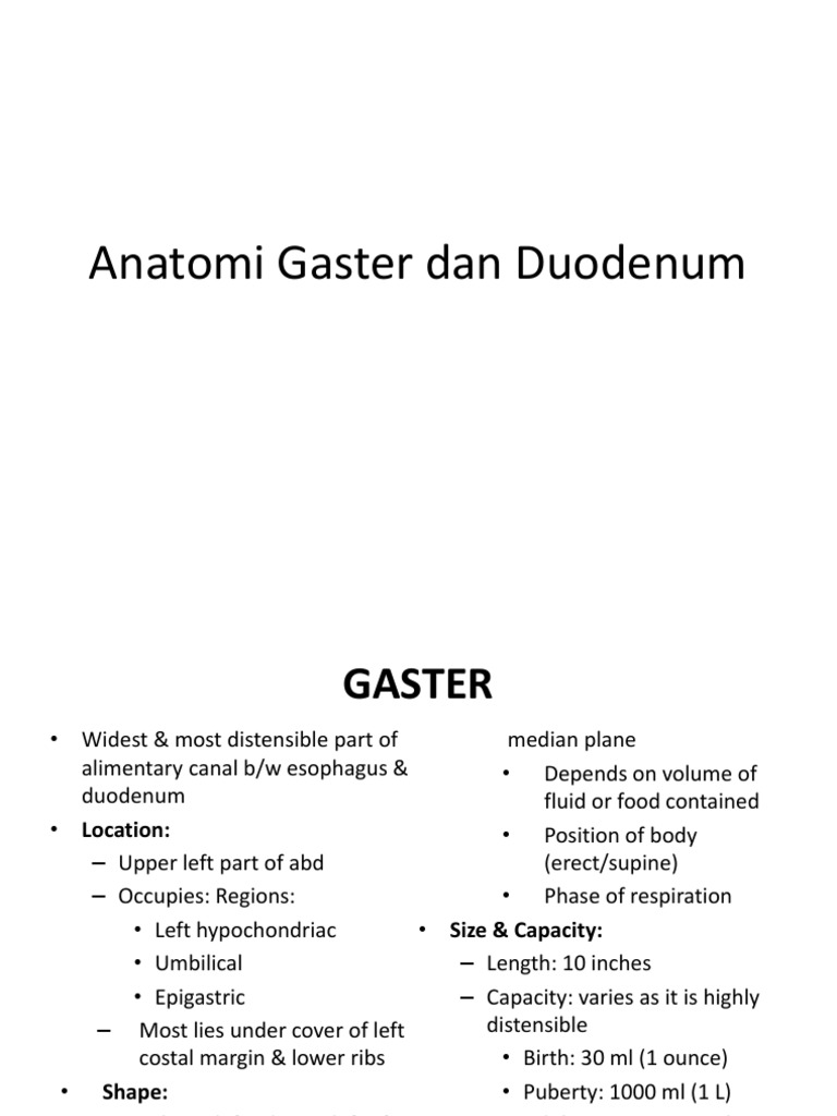 Anatomi Gaster Dan Duodenum | PDF | Stomach | Indigestion