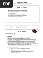 Softball Detailed Lesson Plan | PDF | Softball | Pitcher
