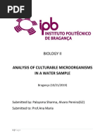 CFU Formulae With Correction Table | PDF