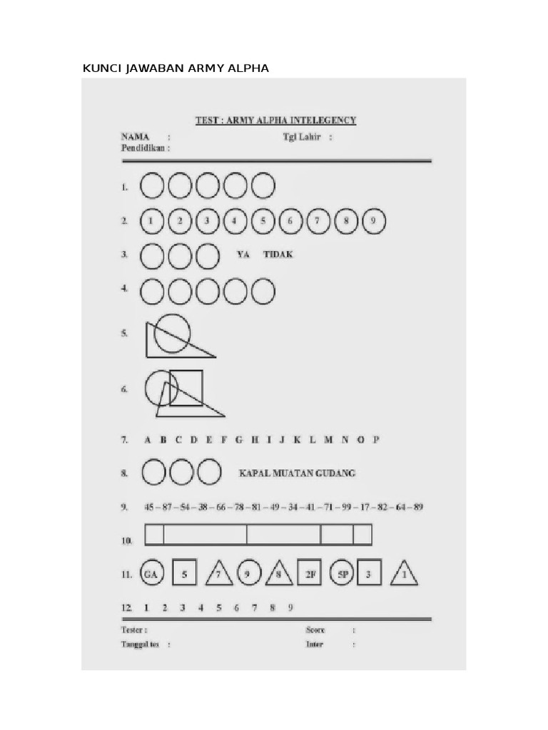 Kunci Jawaban Army Alpha | PDF